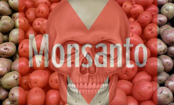 The World vs. Monsanto: A Short History of the Battle Against the Most ...